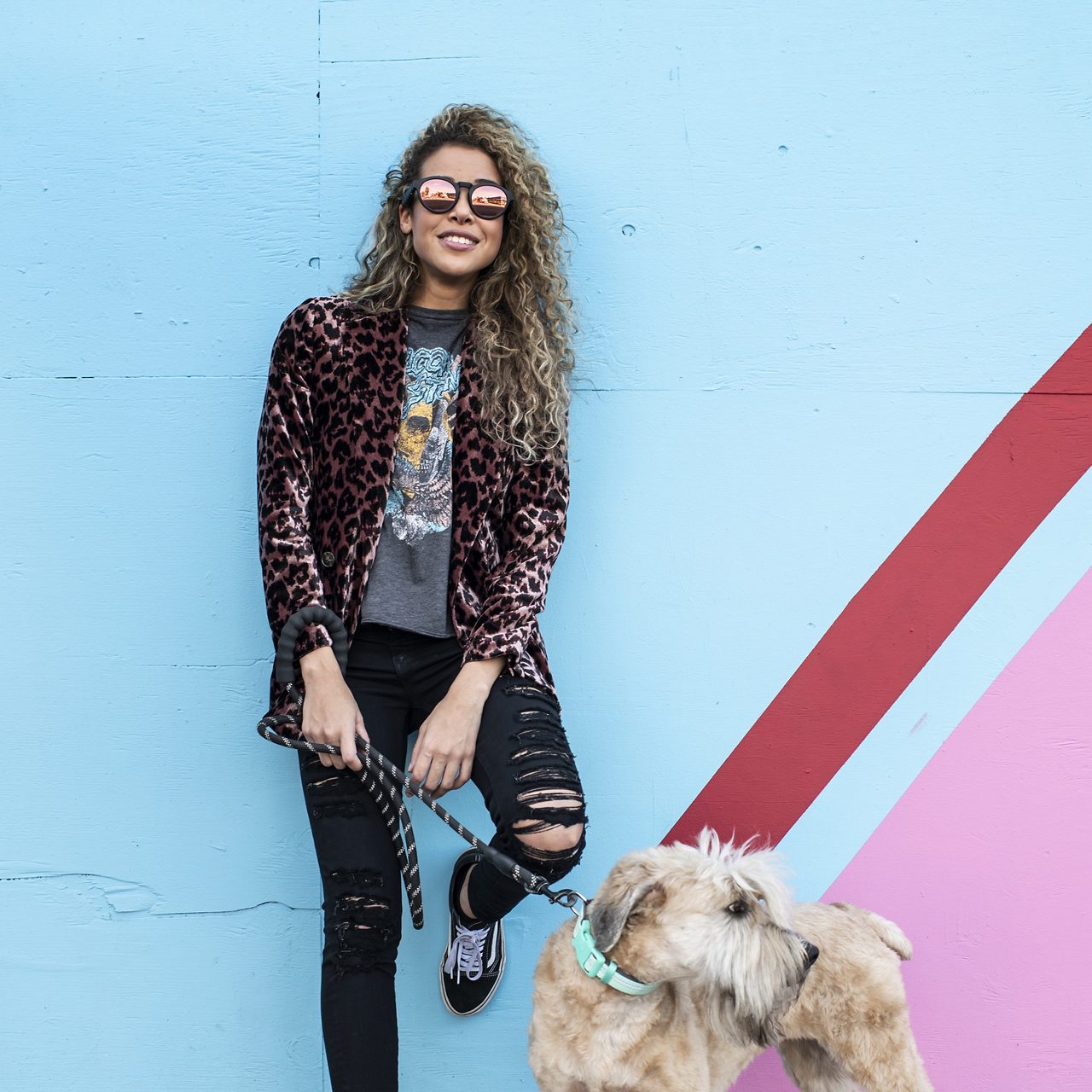 Bose Global Press Room - Bose Announces Global Availability, New Lens ...