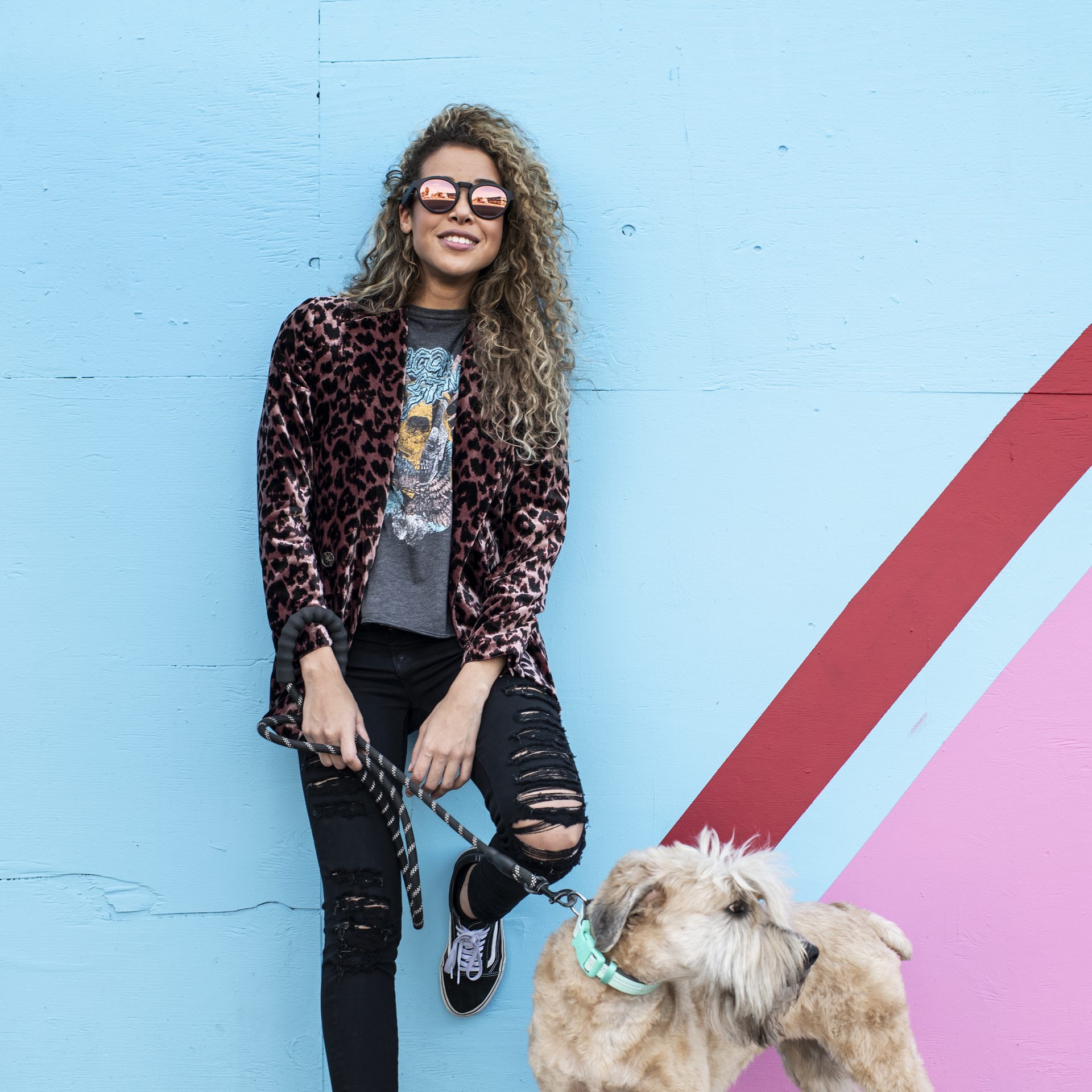 Bose Global Press Room - Bose Announces Global Availability, New Lens ...